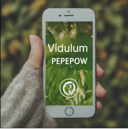 PEPEPOW Community Organization – A proof of work crypto-currency, embracing the power of ...